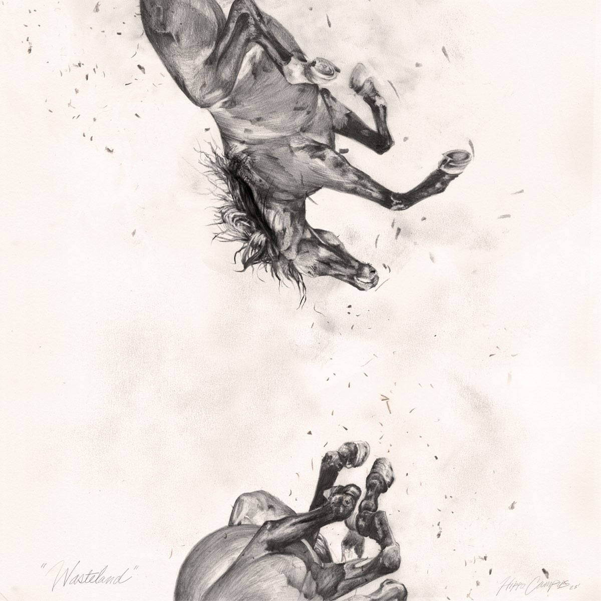 Review: Hippo Campus – Wasteland – Real Goblin